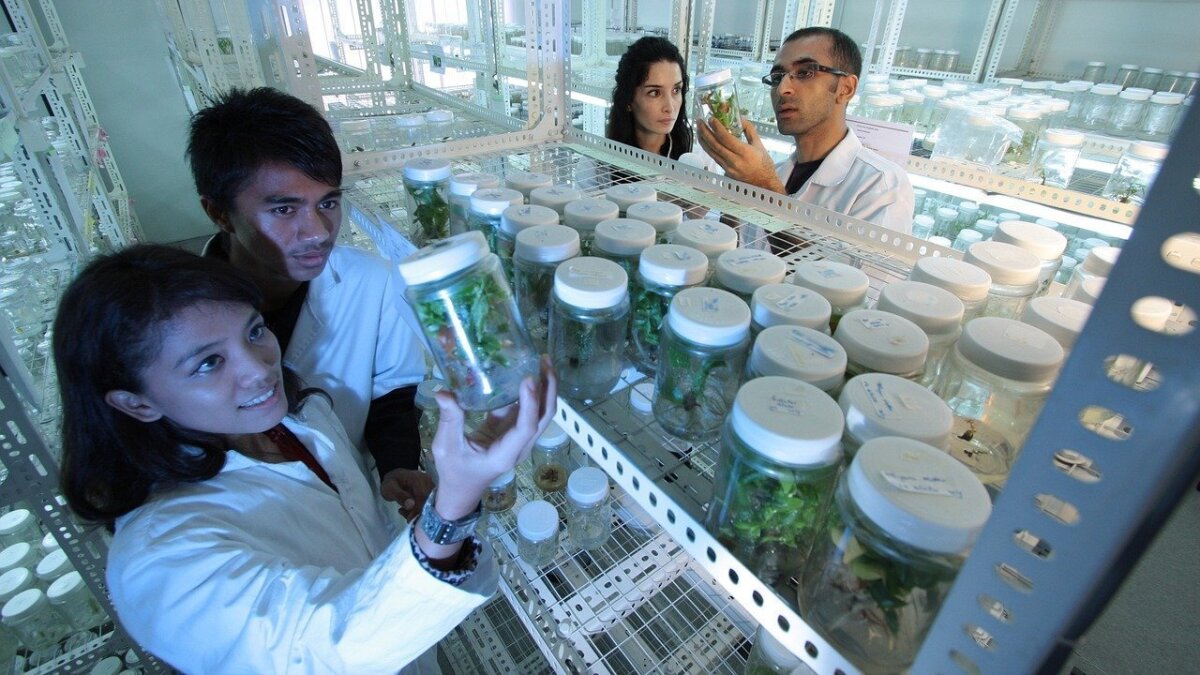 International visiting scientists and scholars